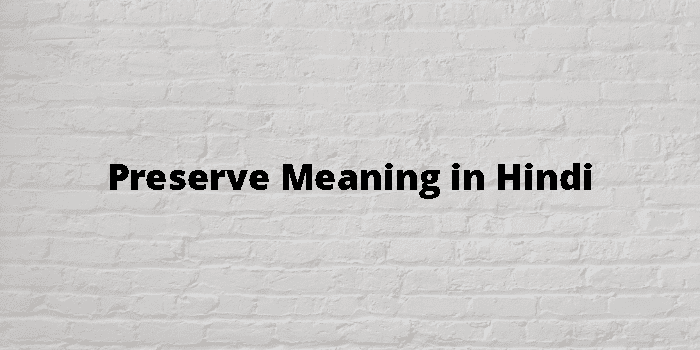 Preserve Meaning In Hindi - हिंदी अर्थ