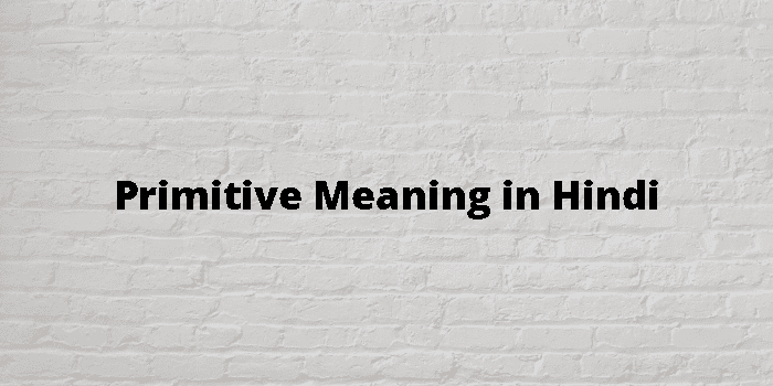 Primitive Meaning In Hindi - हिंदी अर्थ