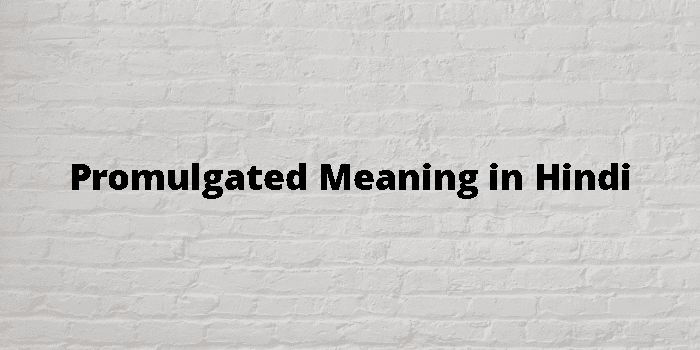 Promulgated Meaning In Hindi - हिंदी अर्थ