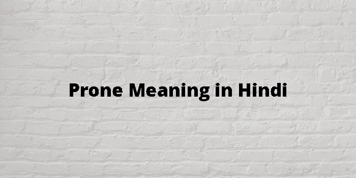 Prone Meaning In Hindi - हिंदी अर्थ