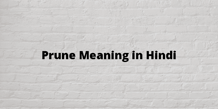 Prune Meaning In Hindi - हिंदी अर्थ