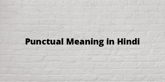 Punctual Meaning In Hindi - हिंदी अर्थ