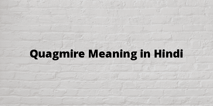 Quagmire Meaning In Hindi - हिंदी अर्थ