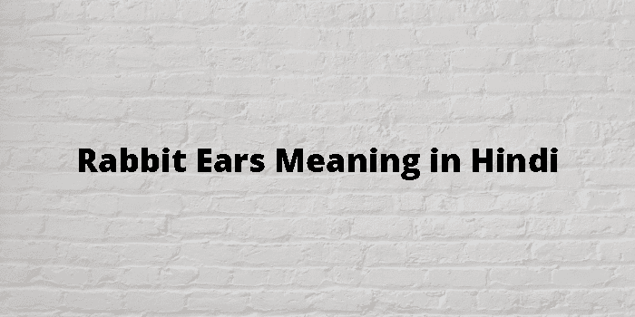 Rabbit Ears Meaning In Hindi - हिंदी अर्थ