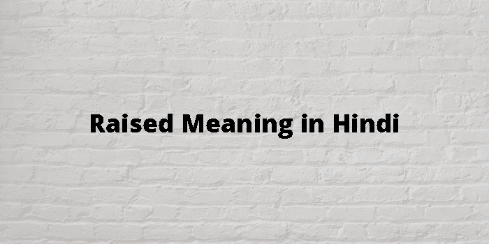 Raised Meaning In Hindi - हिंदी अर्थ