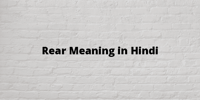 Rear Meaning In Hindi - हिंदी अर्थ