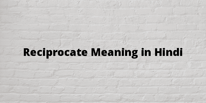 Reciprocate Meaning In Hindi - हिंदी अर्थ