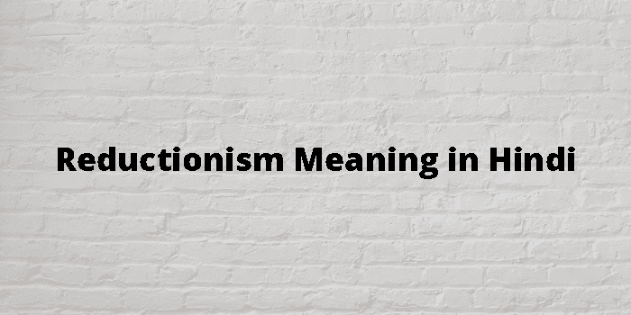 Reductionism Meaning In Hindi - हिंदी अर्थ