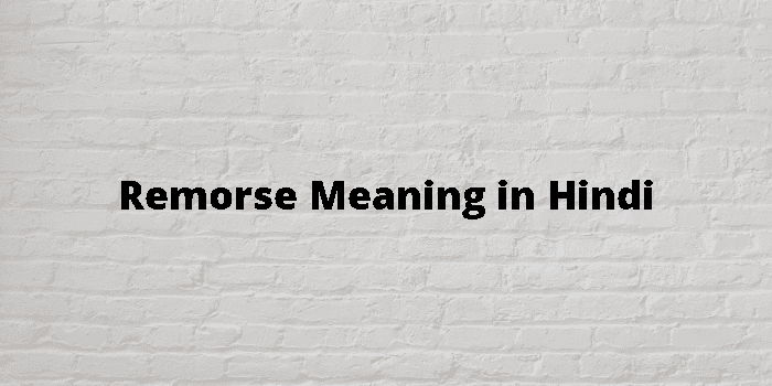 Remorse Meaning In Hindi - हिंदी अर्थ