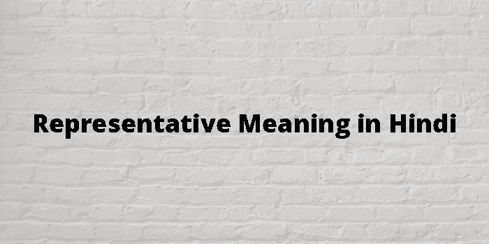 Representative Meaning In Hindi - हिंदी अर्थ
