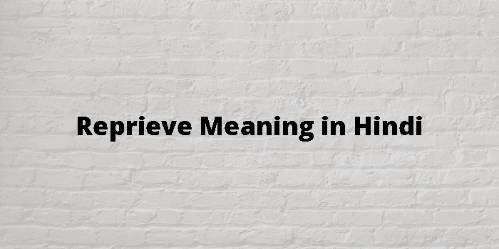 Reprieve Meaning In Hindi - हिंदी अर्थ