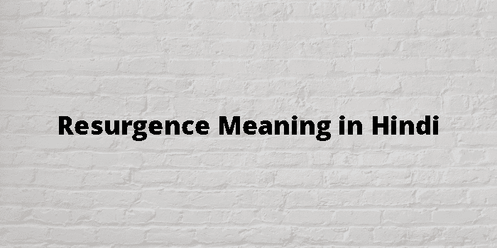 Resurgence Meaning In Hindi - हिंदी अर्थ