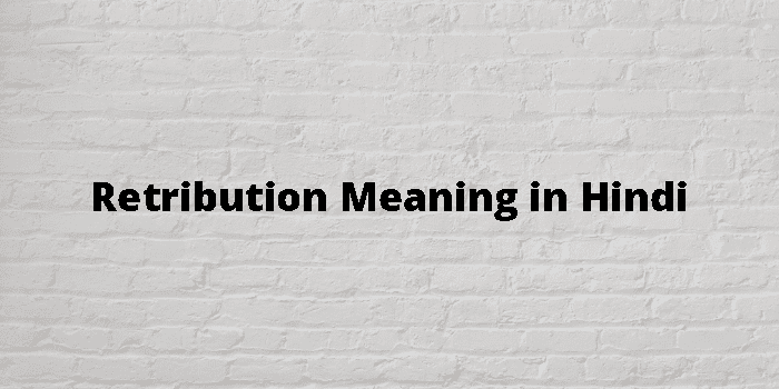Retribution Meaning In Hindi - हिंदी अर्थ