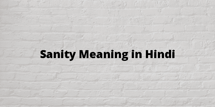 Sanity Meaning In Hindi - हिंदी अर्थ