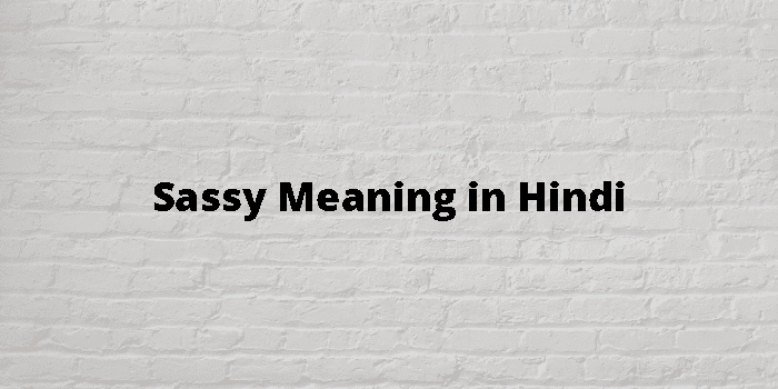 Sassy Meaning In Hindi - हिंदी अर्थ