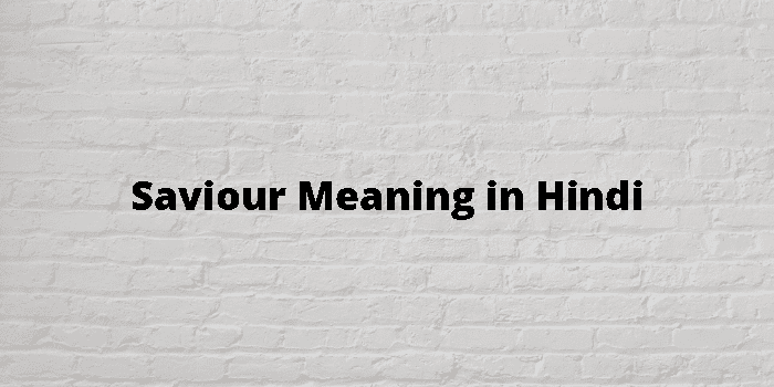 Saviour Meaning In Hindi - हिंदी अर्थ