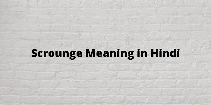 Scrounge Meaning In Hindi - हिंदी अर्थ