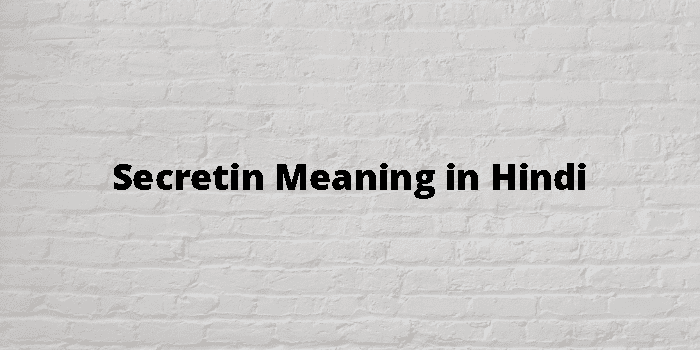 Secretin Meaning In Hindi - हिंदी अर्थ