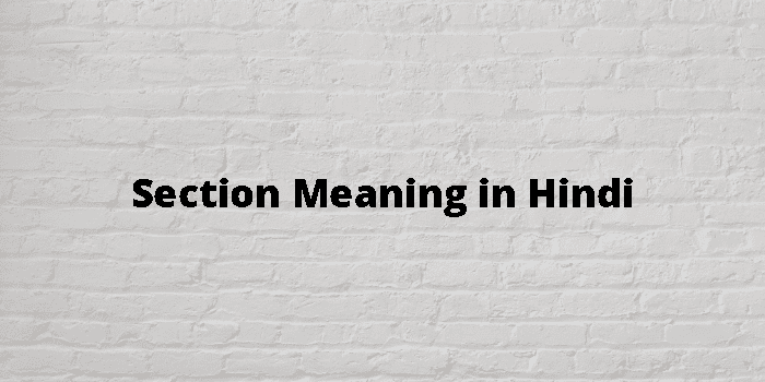Section Meaning In Hindi - हिंदी अर्थ