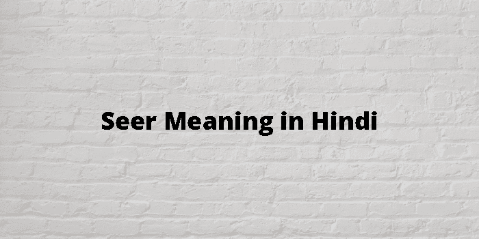 Seer Meaning In Hindi - हिंदी अर्थ