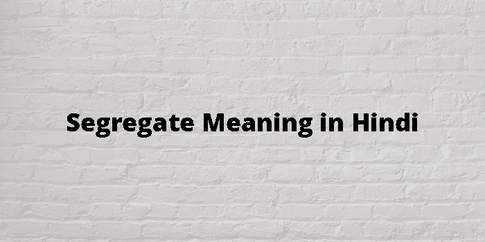 Segregate Meaning In Hindi - हिंदी अर्थ