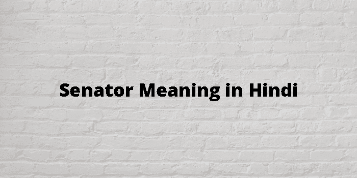 Senator Meaning In Hindi - हिंदी अर्थ