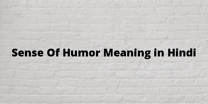 Sense Of Humor Meaning In Hindi - हिंदी अर्थ