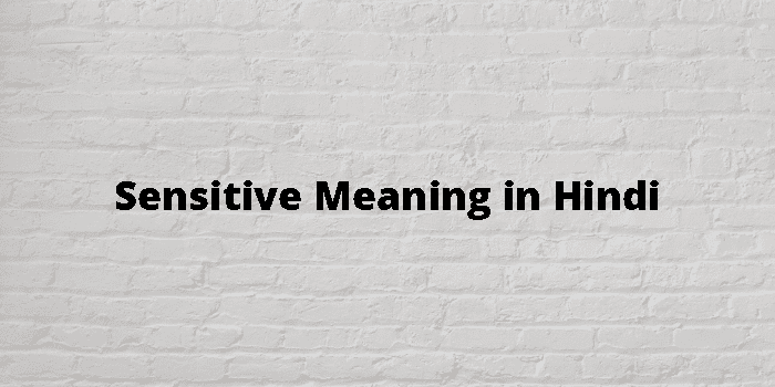 Sensitive Meaning In Hindi - हिंदी अर्थ