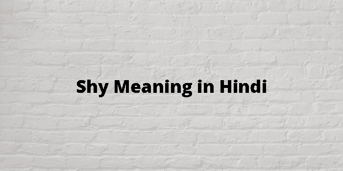 Shy Meaning In Hindi - हिंदी अर्थ