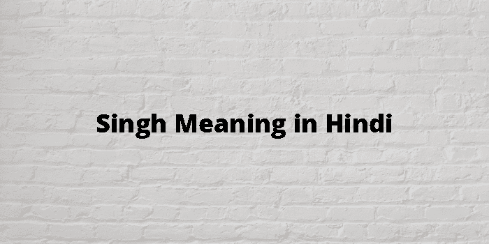 Singh Meaning In Hindi - हिंदी अर्थ
