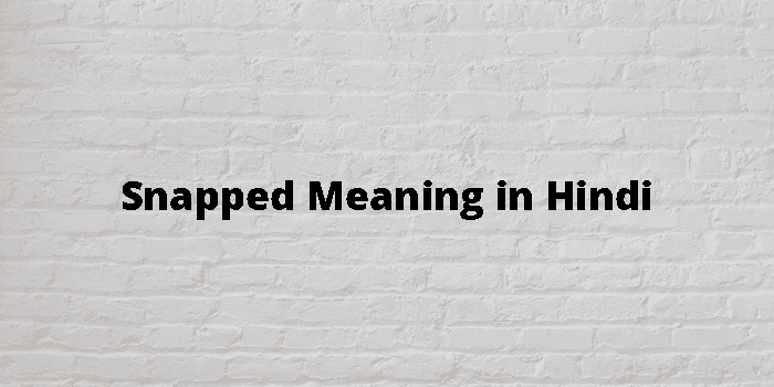 Snapped Meaning In Hindi - हिंदी अर्थ