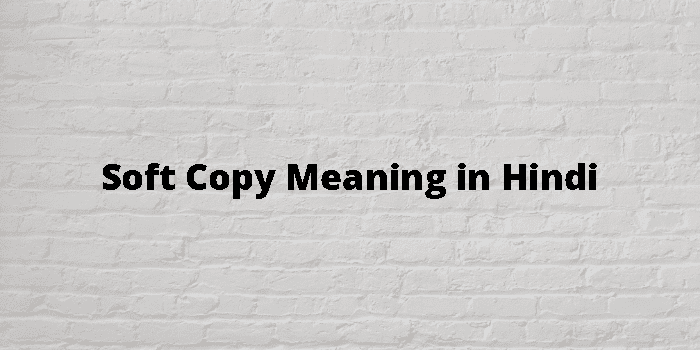 Soft Copy Meaning In Hindi - हिंदी अर्थ