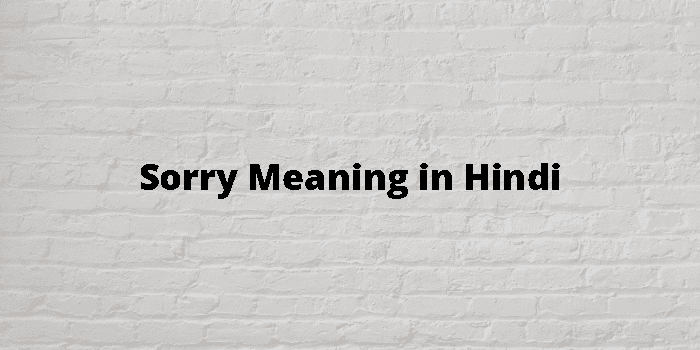 Sorry Meaning In Hindi - हिंदी अर्थ