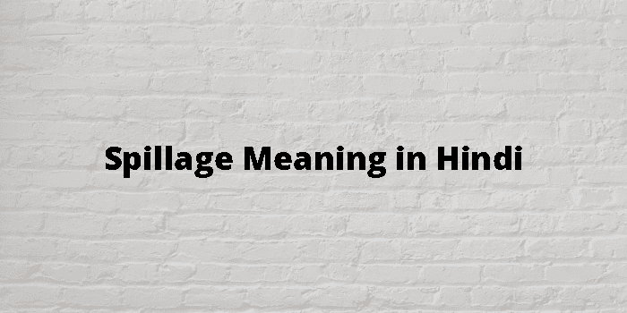 Spillage Meaning In Hindi - हिंदी अर्थ