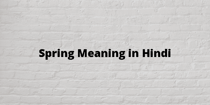 Spring Meaning In Hindi - हिंदी अर्थ