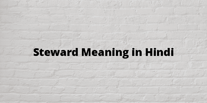 Steward Meaning In Hindi - हिंदी अर्थ