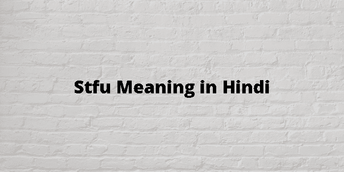 Stfu Meaning In Hindi - हिंदी अर्थ