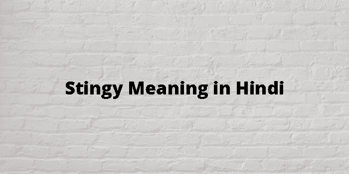 Stingy Meaning In Hindi - हिंदी अर्थ