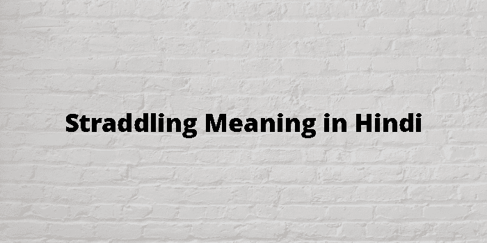 Straddling Meaning In Hindi - हिंदी अर्थ