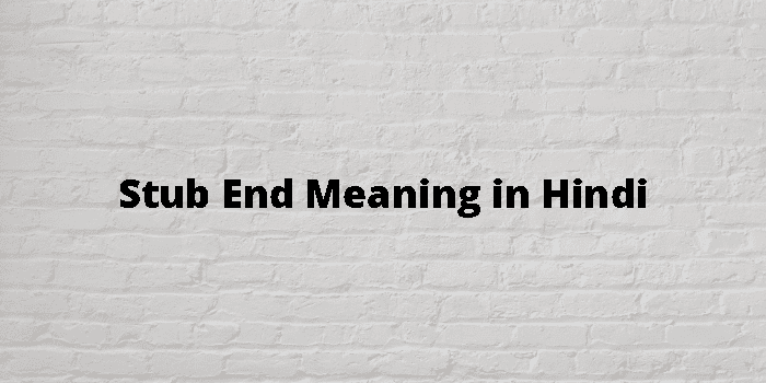 Stub End Meaning In Hindi - हिंदी अर्थ
