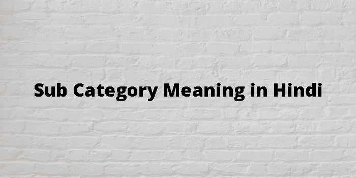 Sub Category Meaning In Hindi - हिंदी अर्थ