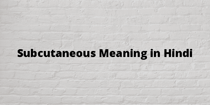 Subcutaneous Meaning In Hindi - हिंदी अर्थ