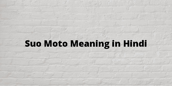 Suo Moto Meaning In Hindi - हिंदी अर्थ
