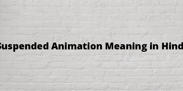 Suspended Animation Meaning In Hindi - हिंदी अर्थ