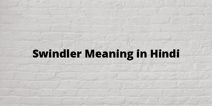 Swindler Meaning In Hindi - हिंदी अर्थ