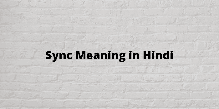 Sync Meaning In Hindi - हिंदी अर्थ