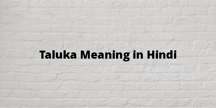 Taluka Meaning In Hindi - हिंदी अर्थ