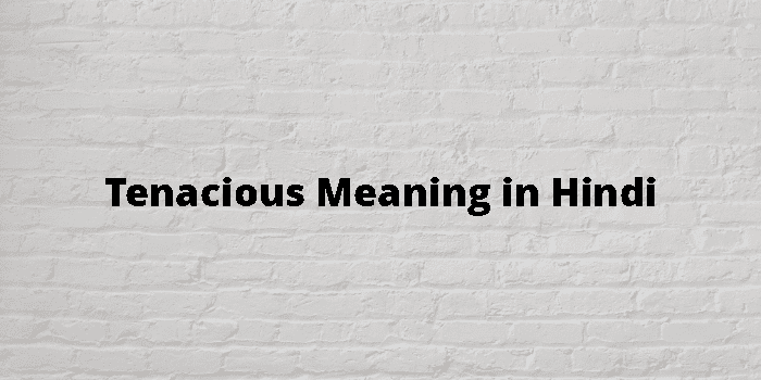 Tenacious Meaning In Hindi - हिंदी अर्थ