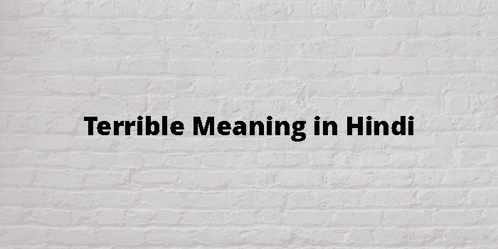 Terrible Meaning In Hindi - हिंदी अर्थ