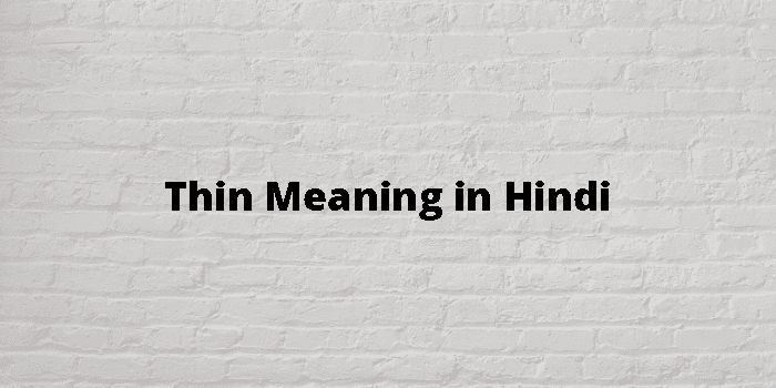 Thin Meaning In Hindi - हिंदी अर्थ